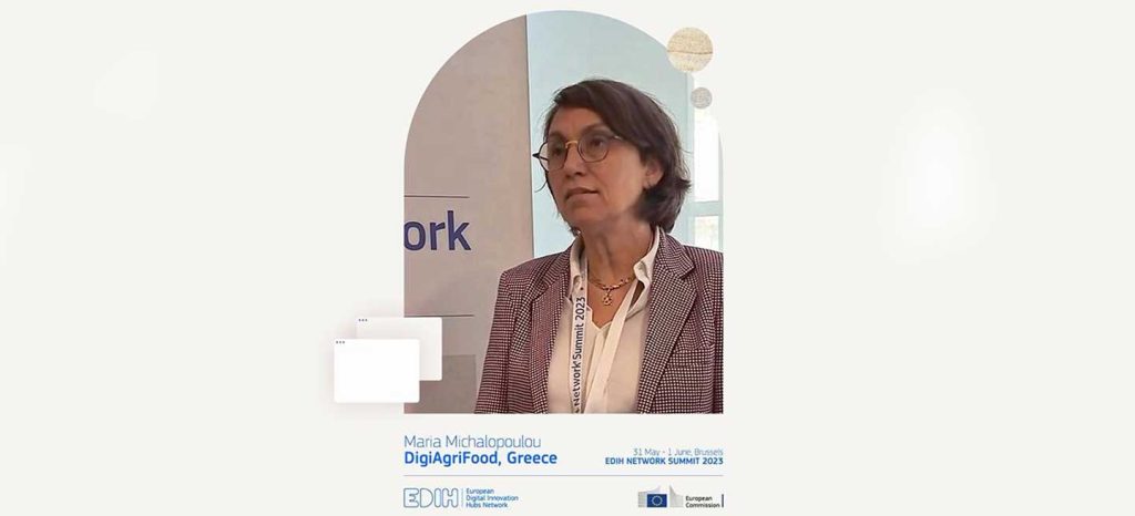 Building a digital Europe: interview with Maria Michalopoulou ...